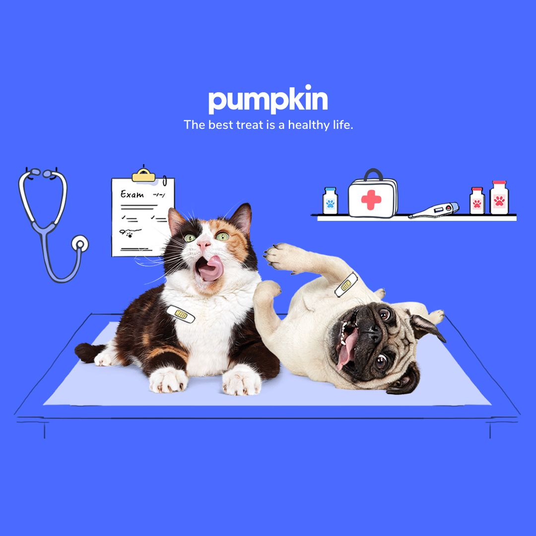 Resources – Schwenksville Vet